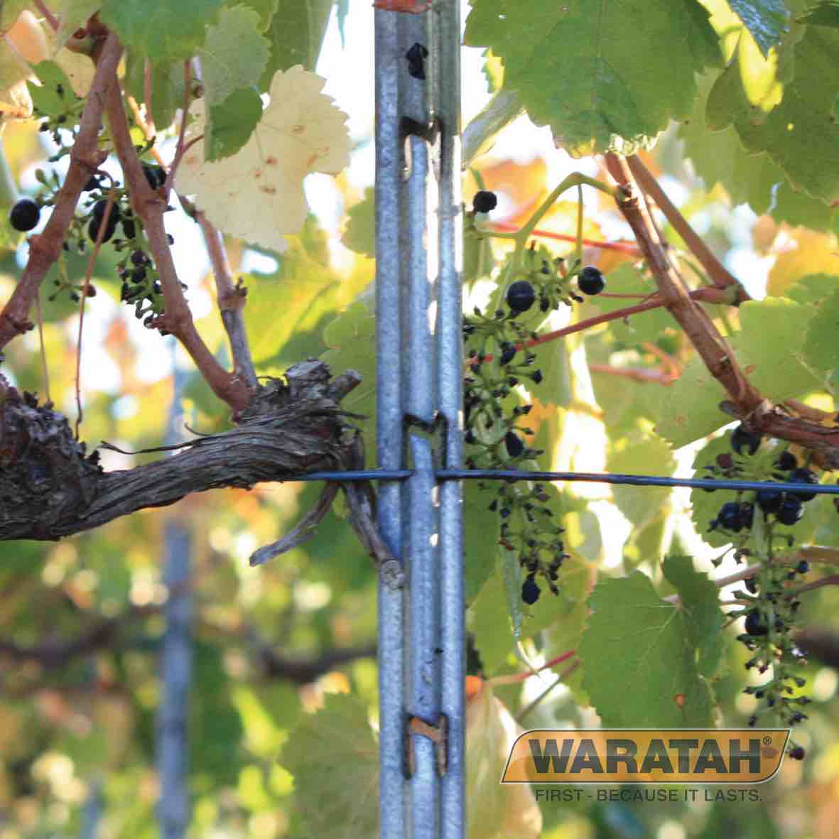 Thumpa Pneumatic Post Driver | Fencing Tools | Waratah NZ Fencing